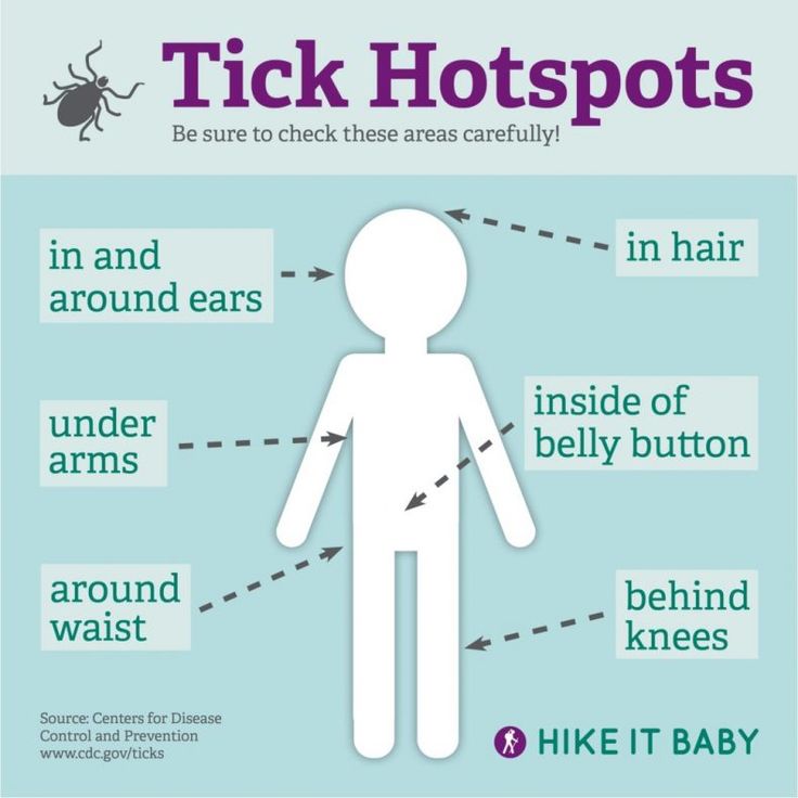 Preventing Tick Bites and Tickborne Illness – From the Triage Desk